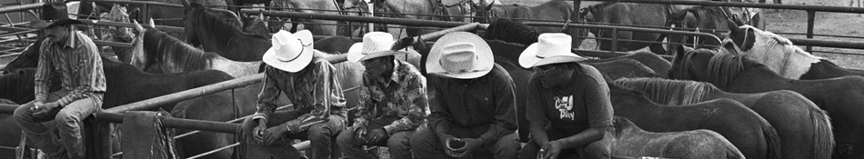 Portfolio: Crow Fair Rodeo