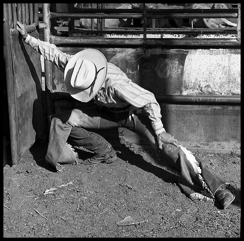 Portfolio: Crow Fair Rodeo