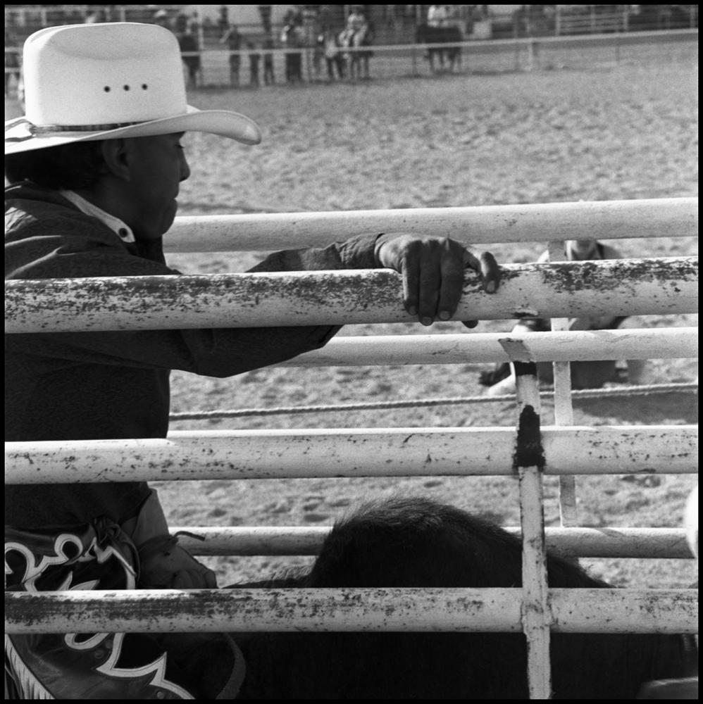 Portfolio: Crow Fair Rodeo
